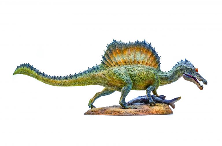 Launch of Essien the Spinosaurus 1:35 Scientific Art Model – PNSO