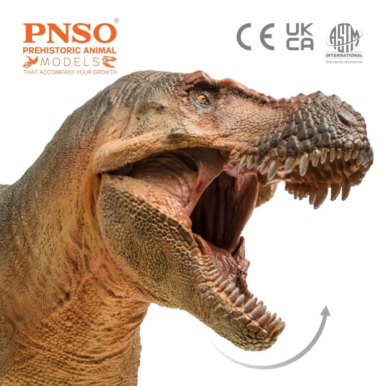 New Release | Lu Xiong the Zhuchengtyrannus Scientific Art Model from PNSO Prehistoric Animal ...