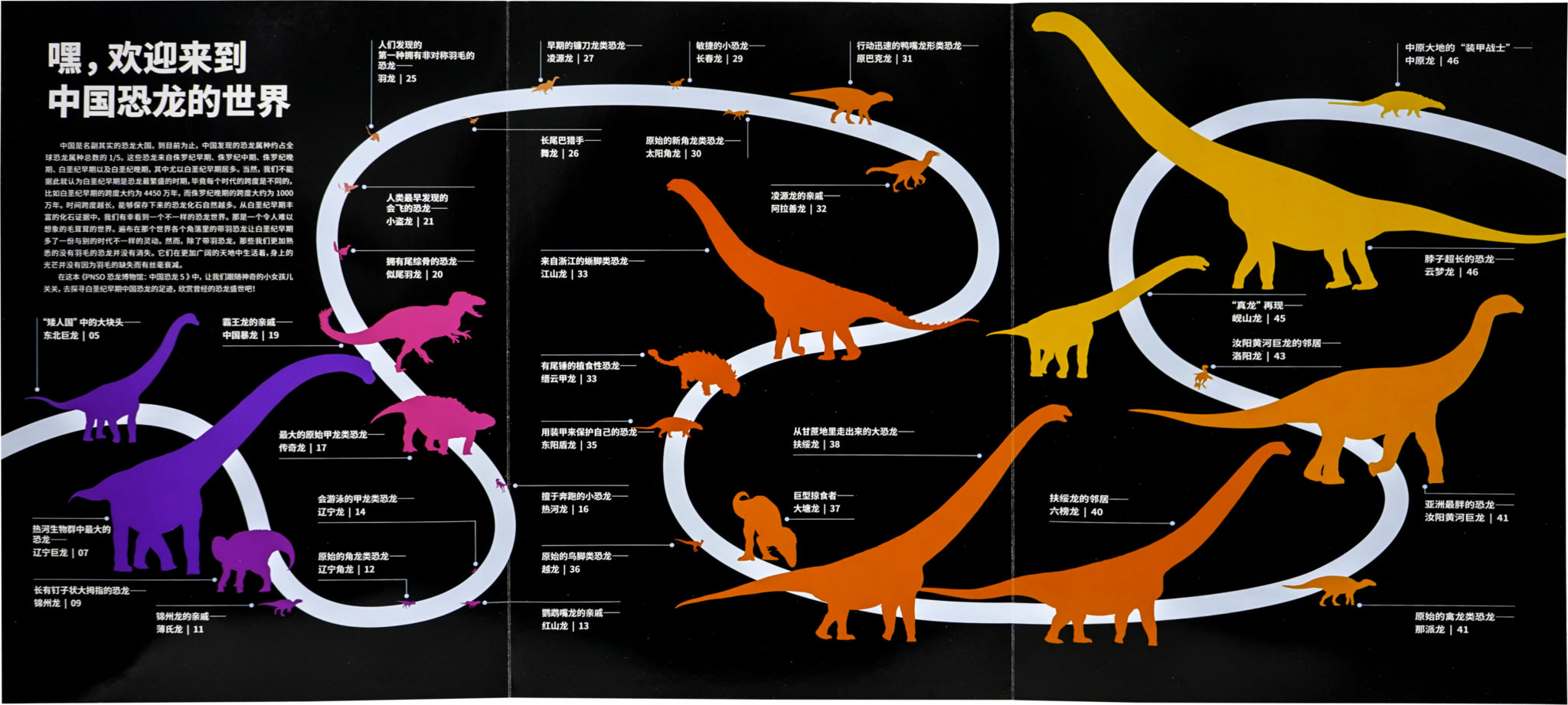 the-chinese-dinosaurs-volumes-5-8-officially-published-in-chinese-pnso
