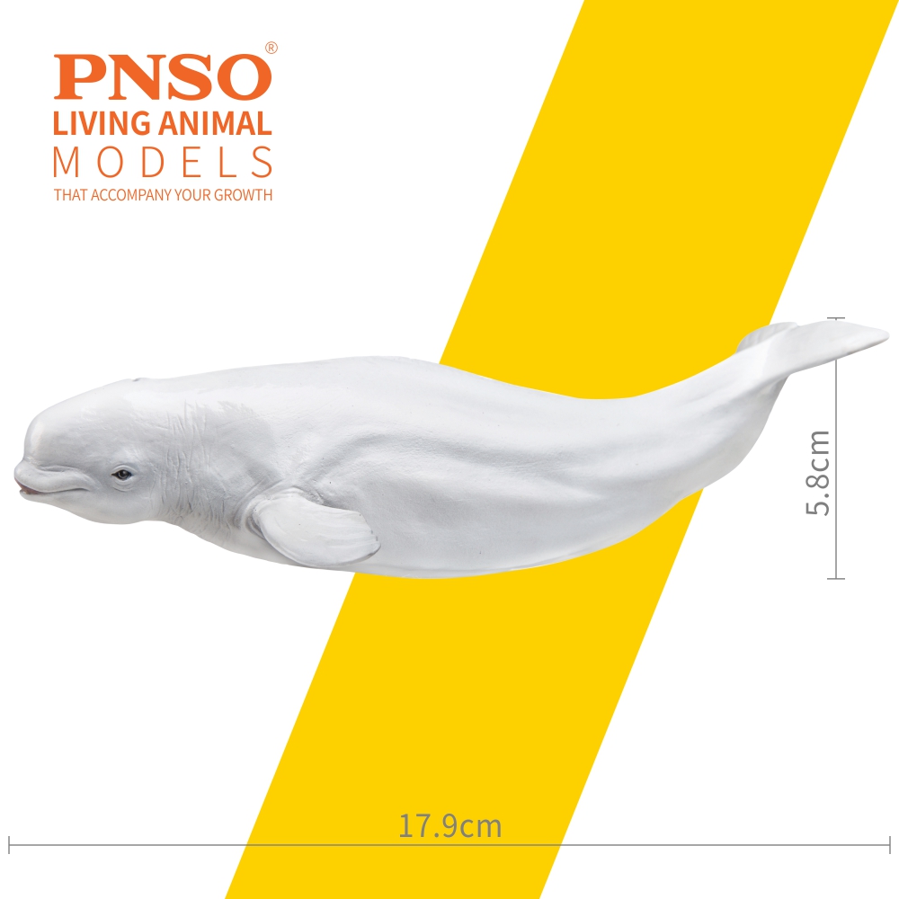 Hynix the Beluga Whale Scientific Art Model from PNSO Living Animal ...
