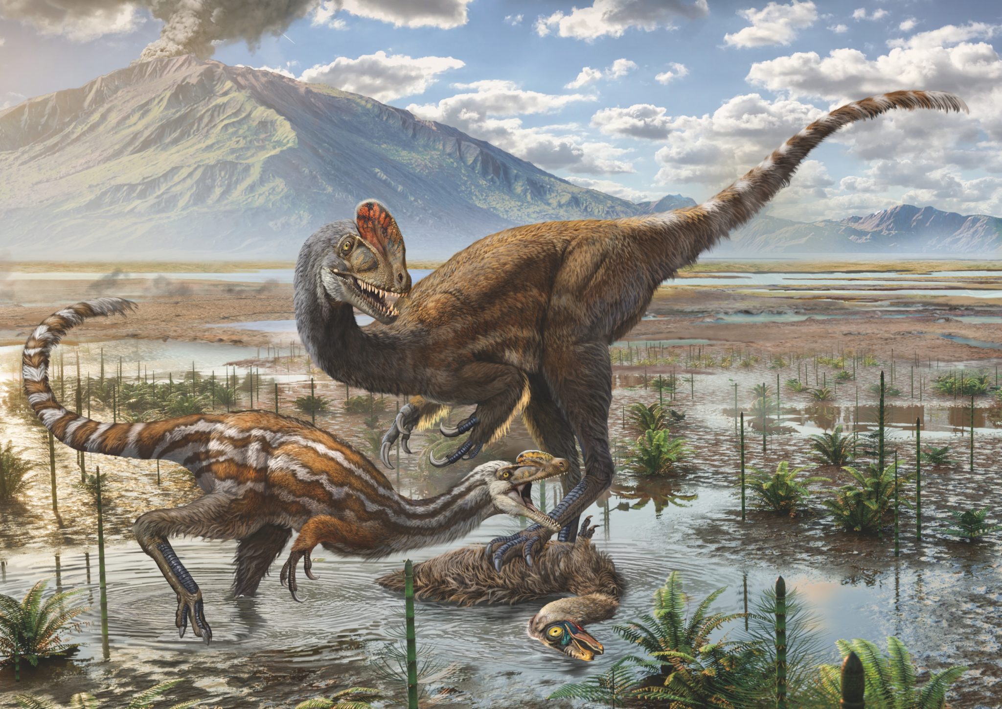 New Release | Cameron the Tyrannosaurus rex 1:35 Scientific Art Model from PNSO Dinosaur Museum ...