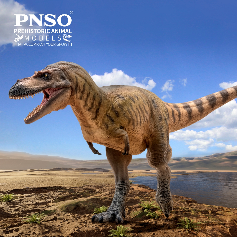 New Release | Wally the Albertosaurus Scientific Art Model from PNSO ...