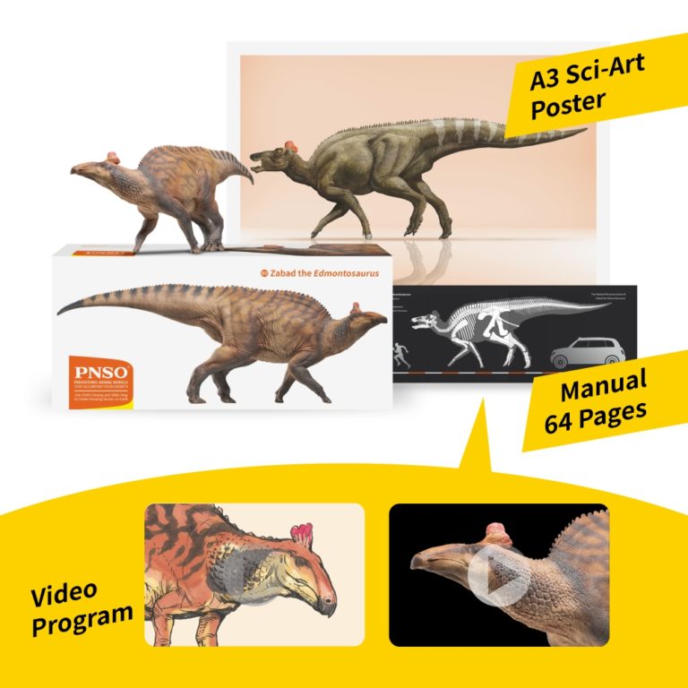 New Release | The Scientific Art Model of Zabad the Edmontosaurus from PNSO Prehistoric Animal ...